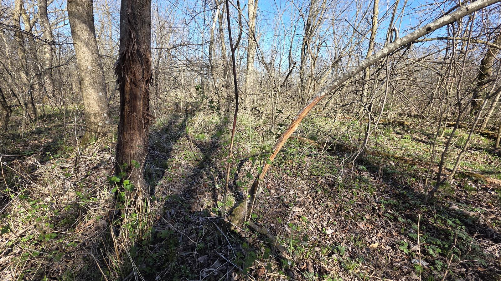 Outdoor Access